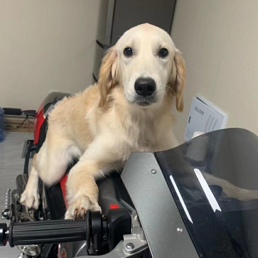 宗申阿普利亚摩托车,Pagani 150报价及图片-摩托范-哈罗摩托车官网