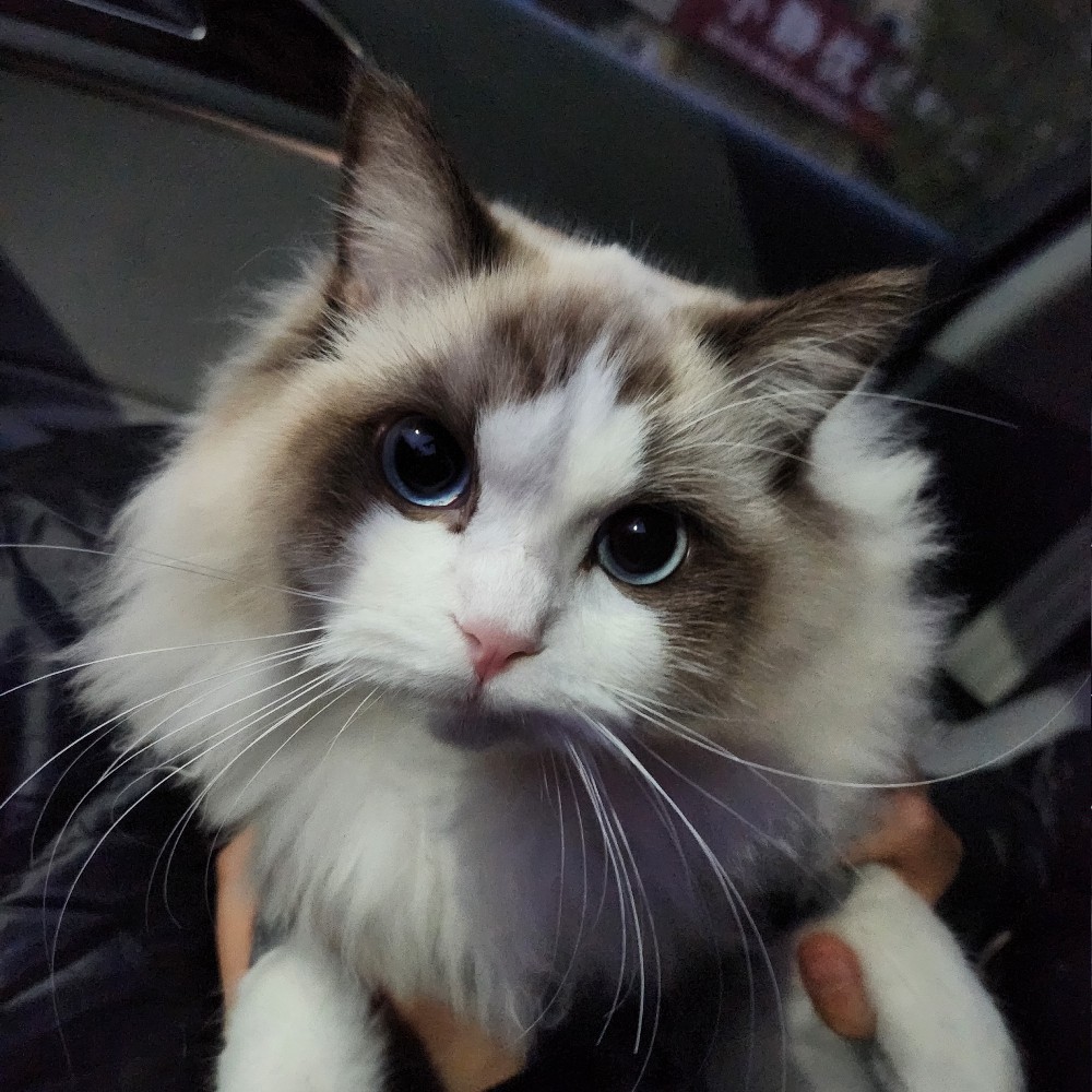 杜卡迪摩托车,Panigale V4报价及图片-摩托范-哈罗摩托车官网